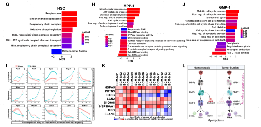 单细胞技术揭示肿瘤诱导骨髓造成的全身免疫抑制机理 - 知乎