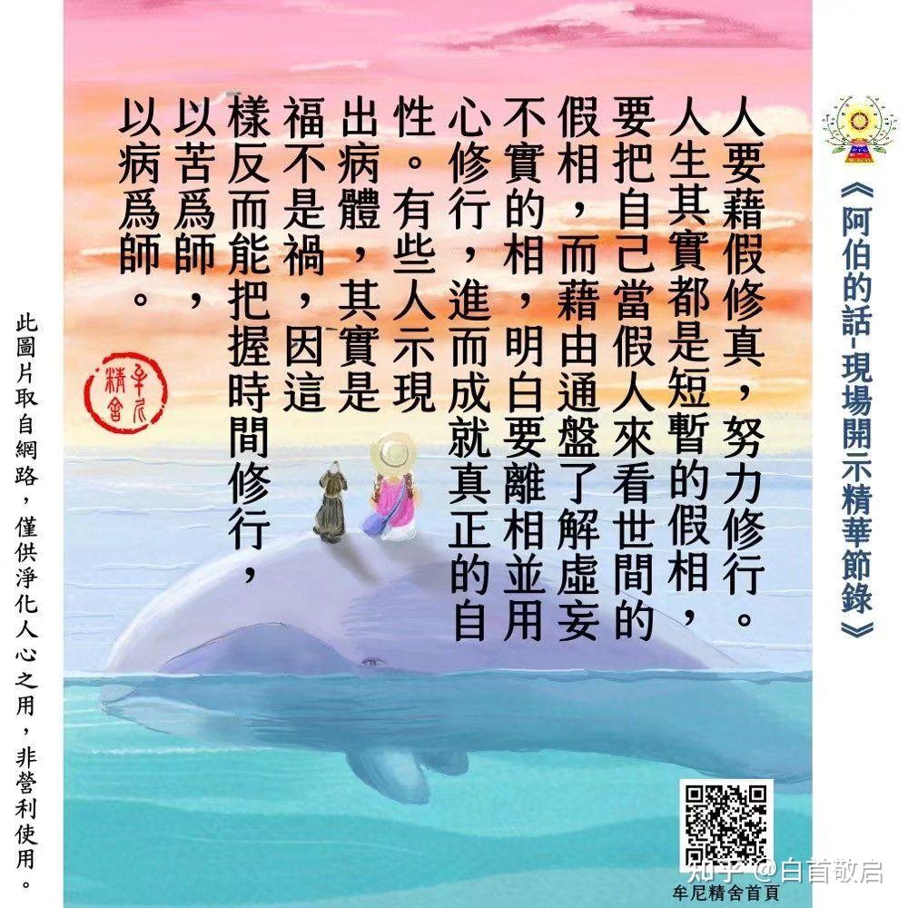 不是一直逃避 知乎