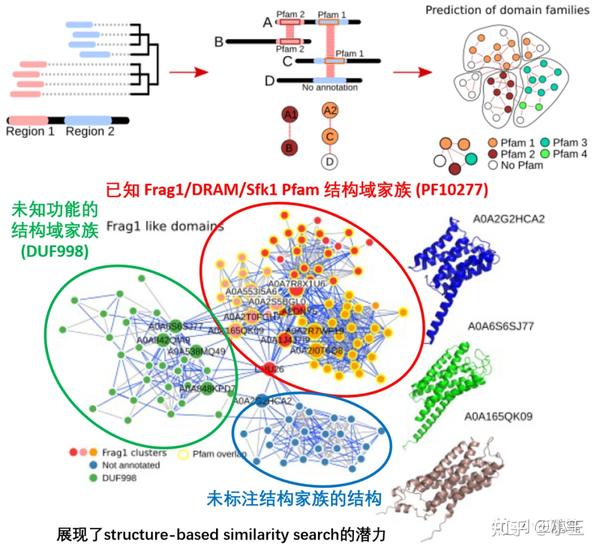 蛋白结构生物信息学的造极：AlphaFold DB的结构挖掘 - 知乎