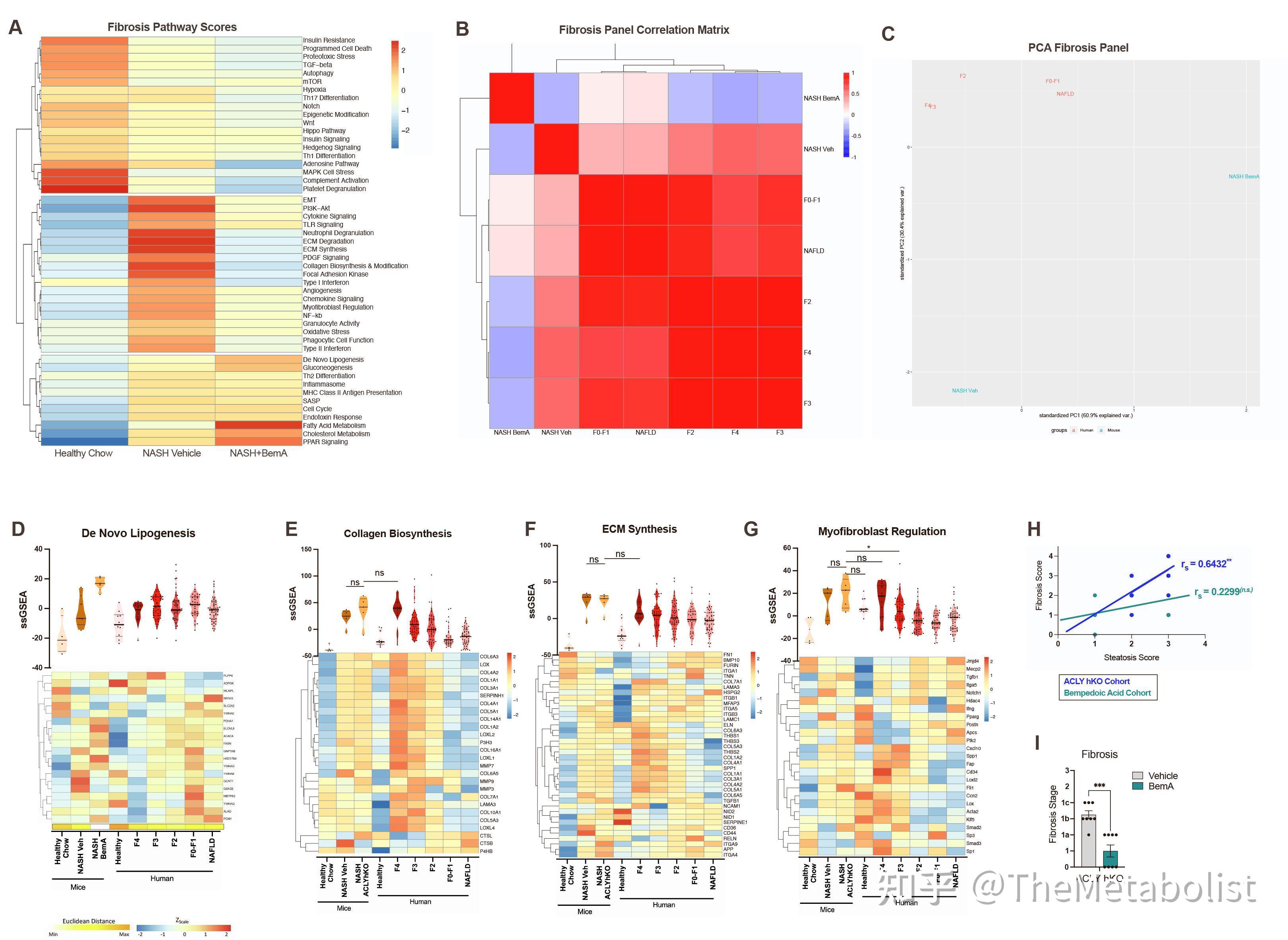 代谢学人--Cell Metabolism：NASH刺客 -- ATP柠檬酸裂解酶 - 知乎