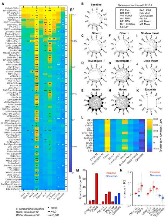 Neuron：新多通道光纤记录技术，打开社会行为编码模式研究新视野 - 知乎