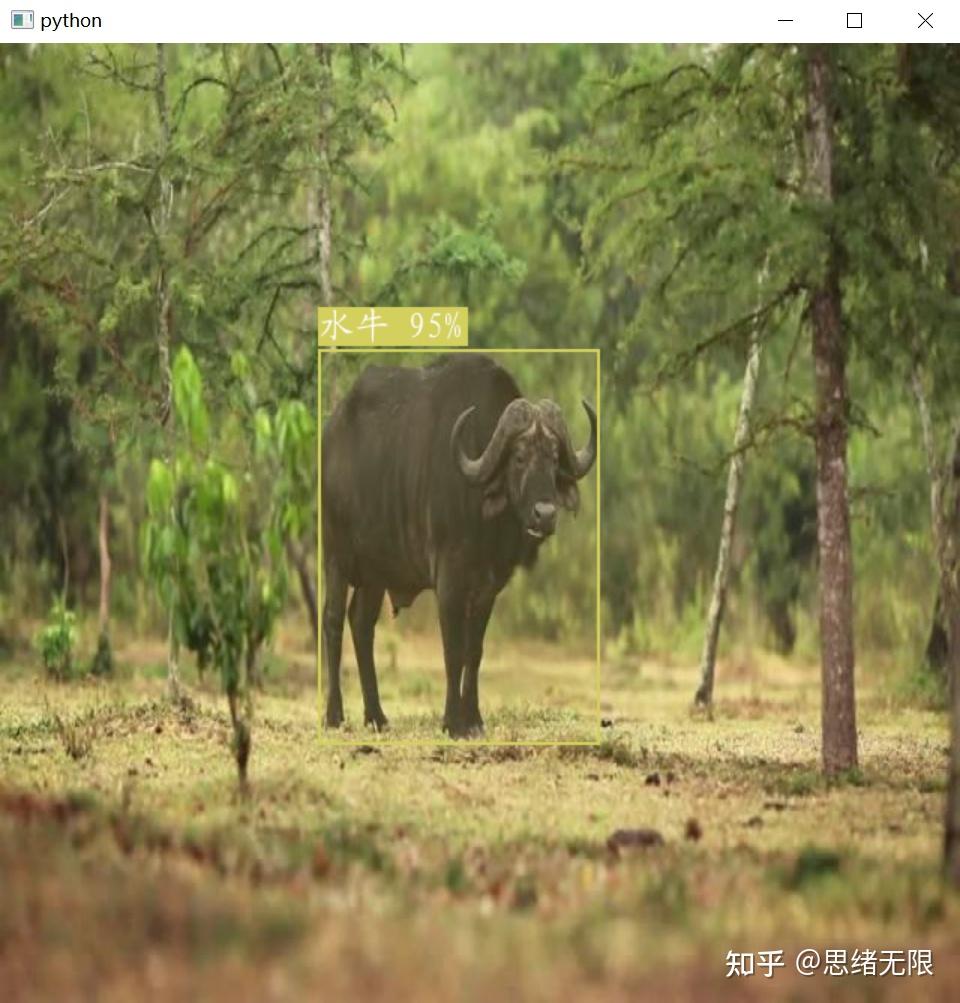 基于YOLOv8/YOLOv7/YOLOv6/YOLOv5的多种类动物识别（Python+PySide6界面+训练代码） - 知乎