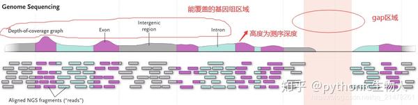 Omics精进01|临床WGS/WES/Gene Panel/Single gene异同 - 知乎