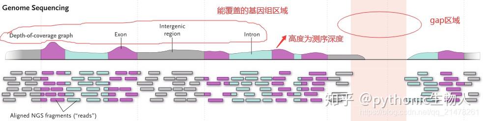 Omics精进01|临床WGS/WES/Gene Panel/Single gene异同 - 知乎