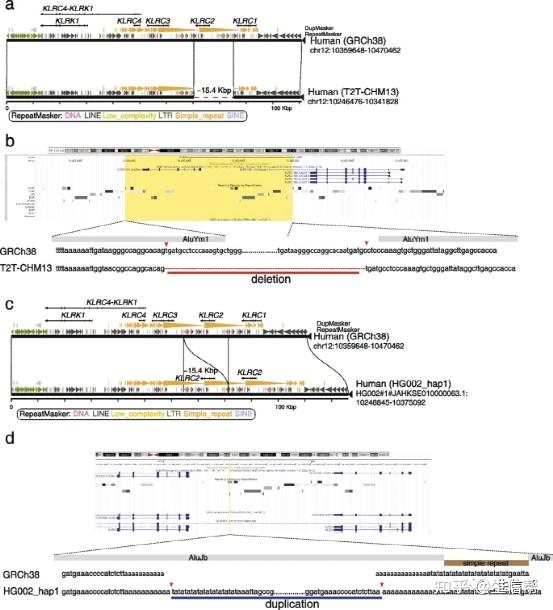 GB｜人T2T基因组与参考基因组差异的分析 - 知乎