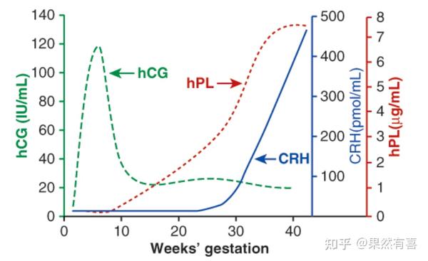 每公斤12元，高价回收孕妇尿液，到底干什么用？ - 知乎