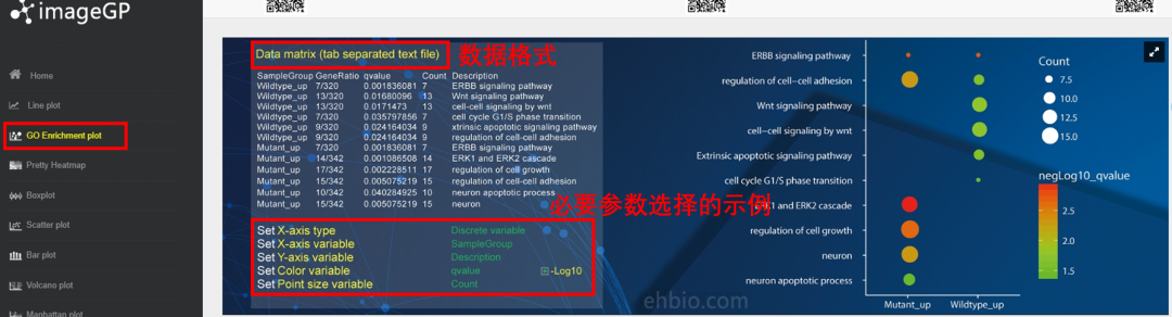 组学数据分析实操系列 |（四） 富集气泡图的绘制 - 知乎