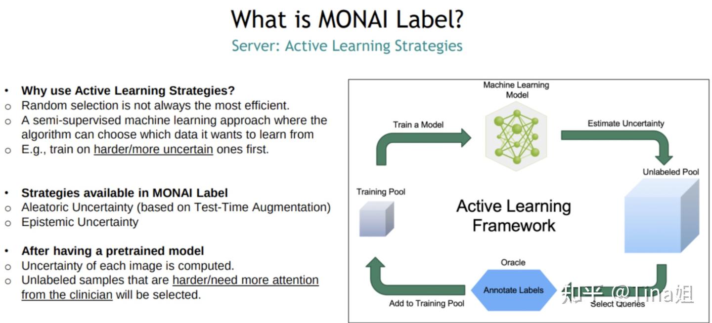 MONAILabel in 3D Slicer 案例1: 在腹部CT中自动分割脾脏 - 知乎