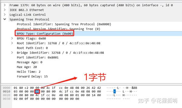 STP报文格式 - 知乎