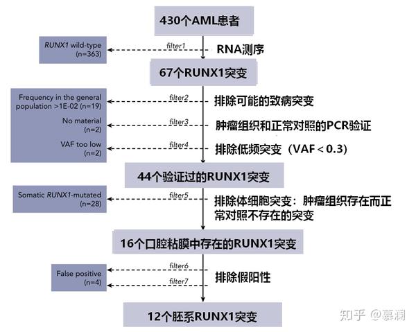 前沿进展 | 曹伟杰：AML患者中RUNX1基因的胚系突变 - 知乎