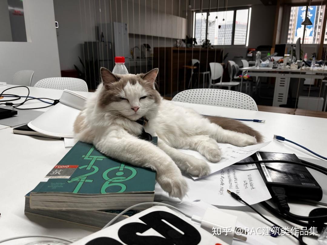 2023经验谈【110】| 双非建筑学长UCL/MSA/米理/AA等offer九连，从小白到学霸的逆袭！ - 知乎