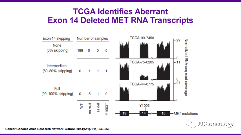 大咖说｜Paul Paik 教授谈 MET 14 外显子跳跃突变非小细胞肺癌（NSCLC）的治疗策略 - 知乎