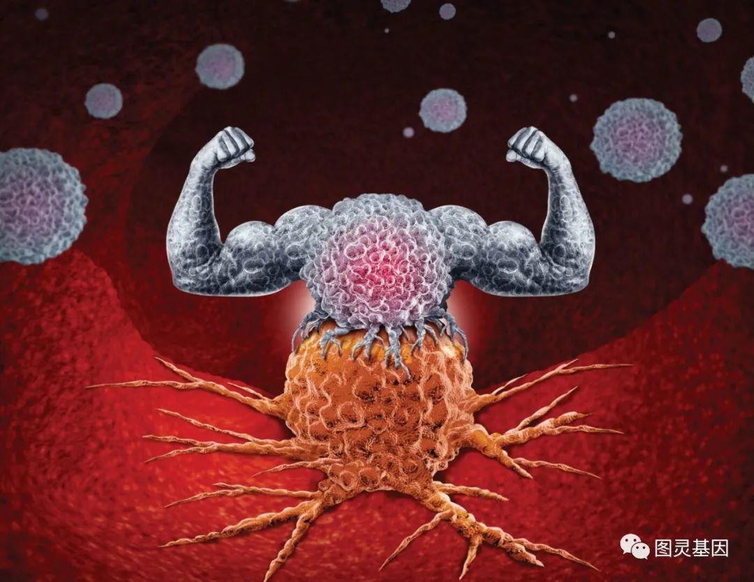 Nat Immu | 限制T细胞从肿瘤中逃逸，改进黑色素瘤免疫疗法 - 知乎