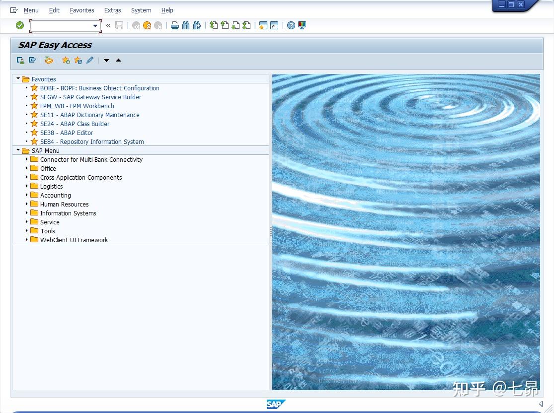 思爱普（SAP）真难之GUI主题设置 - 知乎