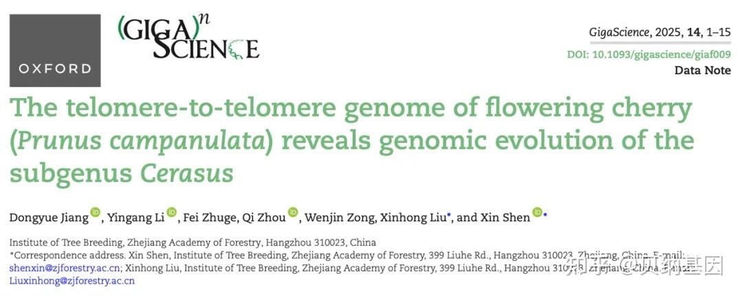 GigaScience项目文章｜钟花樱T2T基因组揭示樱亚属进化 - 知乎