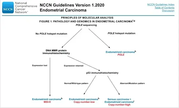 TCGA分型+HRR检测：子宫内膜癌预后和治疗新选择 - 知乎