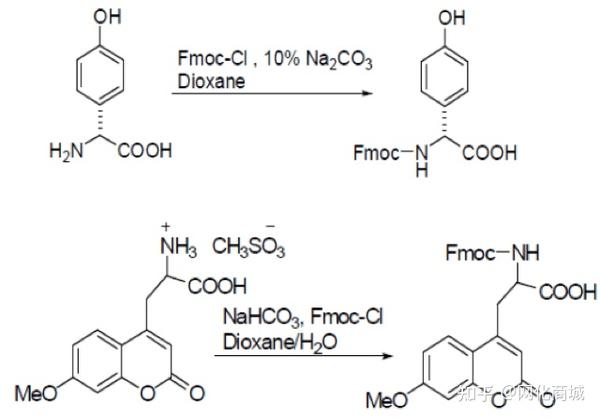 当得“C”位的氨基保护剂——Fmoc-cl - 知乎