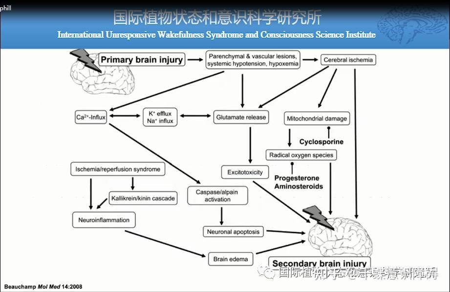 （二）丨Claude Hemphill：ICU中昏迷患者的治疗：来自TRACK-TBI及昏迷治疗运动的初步经验 - 知乎