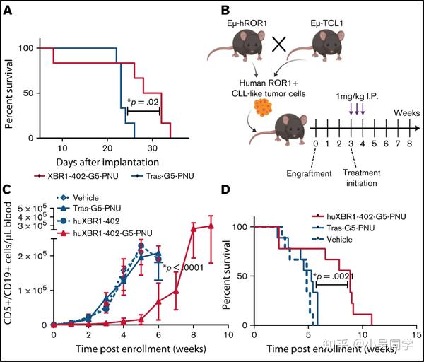 ROR1能否引领下一代免疫疗法热潮？ - 知乎