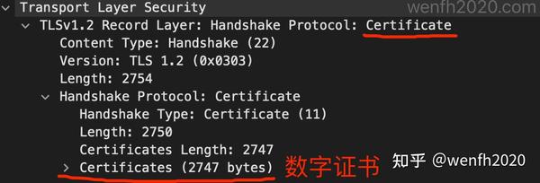 浅析 TLS（ECDHE）协议的握手流程（图解） - 知乎