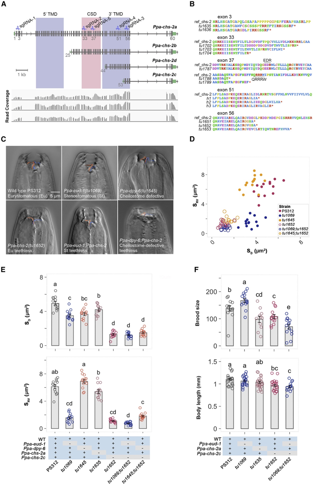 Curr Biol｜德国马普所(Tübingen)首次证明捕食性线虫的摄食结构由几丁质组成 - 知乎