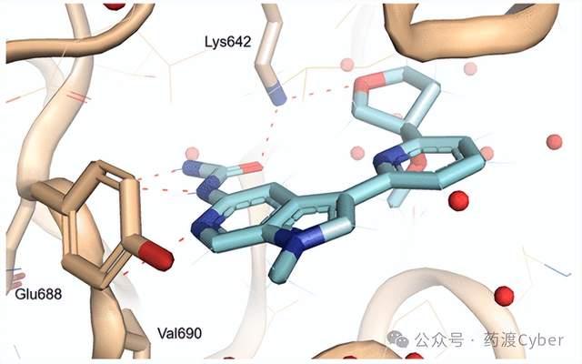 解析艾伯维公司的选择性TYK2抑制剂ABBV-712的发现和优化过程 - 知乎