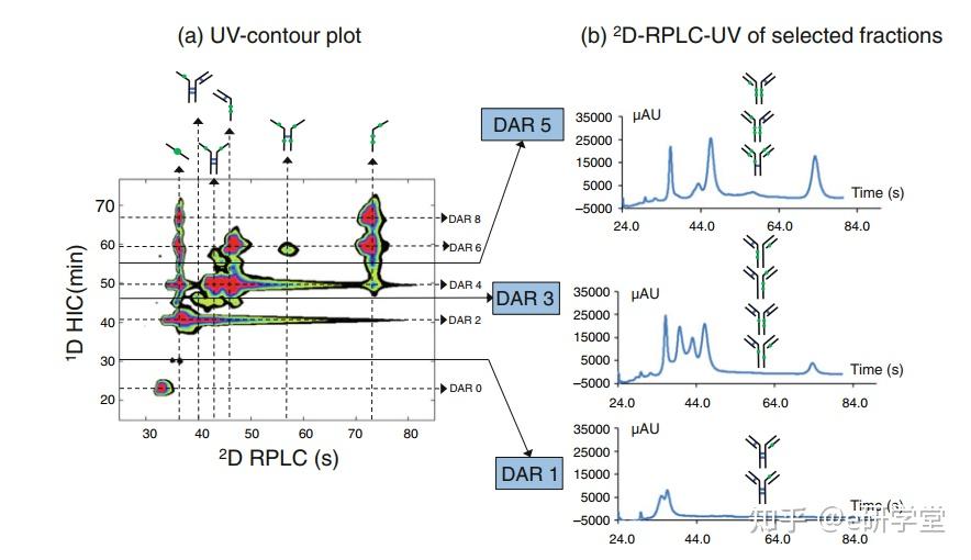 二维液相色谱与高分辨质谱联用表征分析抗体偶联药物（ADC） - 知乎