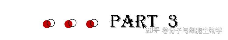 免疫细胞治疗——TCR-T - 知乎