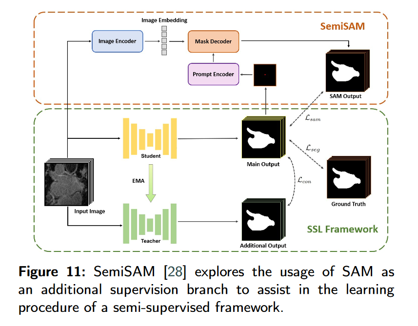 SAM在医学影像中的应用（最新） - 知乎