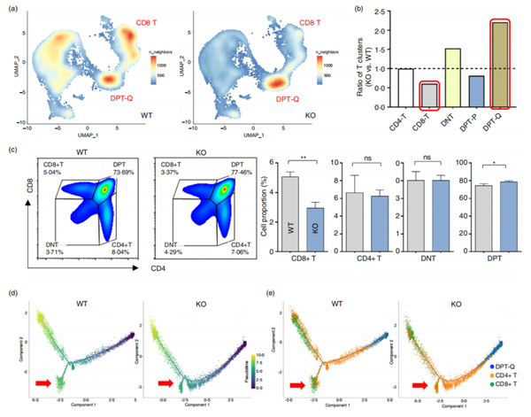 项目文章 | 单细胞测序揭示共刺激分子CD226对胸腺T细胞发育的影响 - 知乎