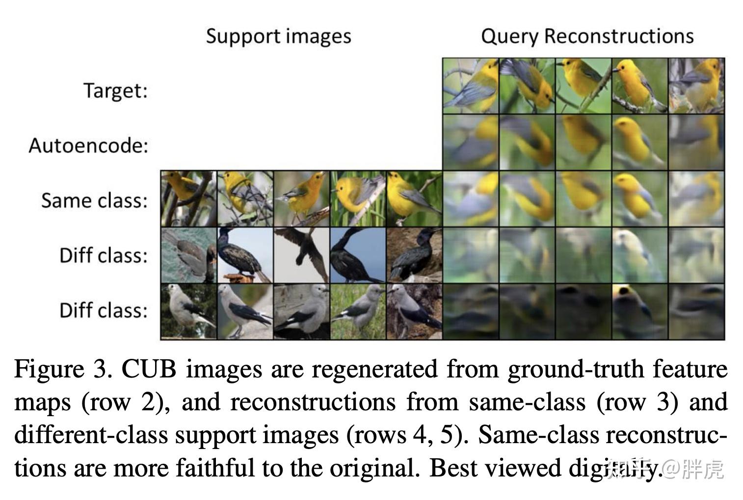 【小样本分类】Few-Shot Classification with Feature Map Reconstruction Networks - 知乎