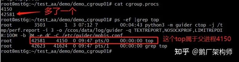 Cgroup使用介绍 - 知乎