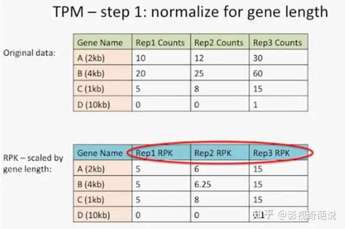 RPKM、FPKM 和 TPM，解释清楚 - 知乎