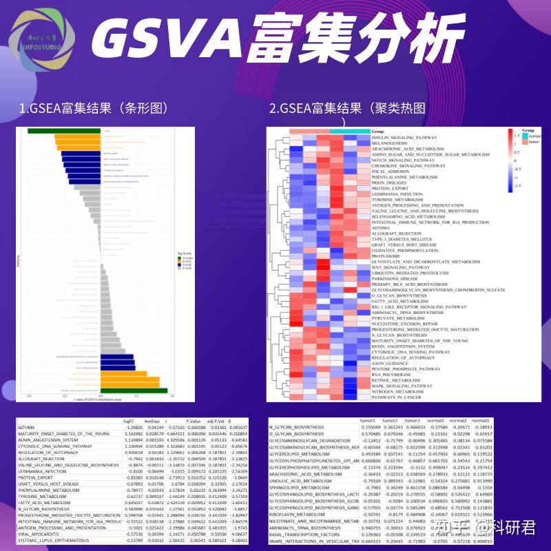 GSEA、GSVA富集分析 - 知乎