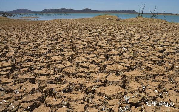 土壤离子二氧化硅和氧 (SiO 2) - 知乎