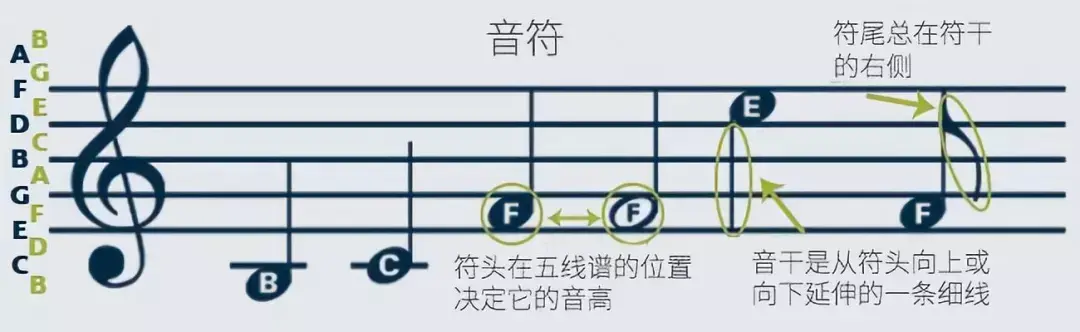 五分钟学会五线谱 - 知乎