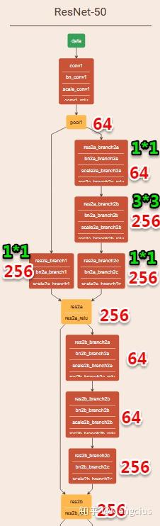 CNN模型合集 | 8 ResNet v1/v2 - 知乎