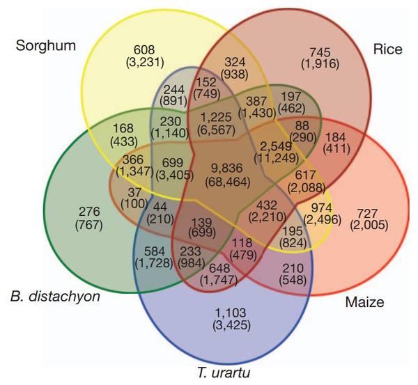 r-venn