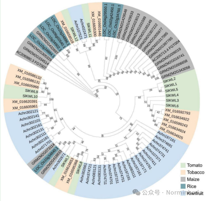 Genes||转录组+qPCR分析生物胁迫下番茄KWL基因家族 - 知乎