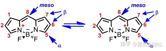 BODIPY-PEG-Tetrazine，四嗪标记BODIPY TR、BODIPY FL、BODIPY R6G荧光染料 - 知乎