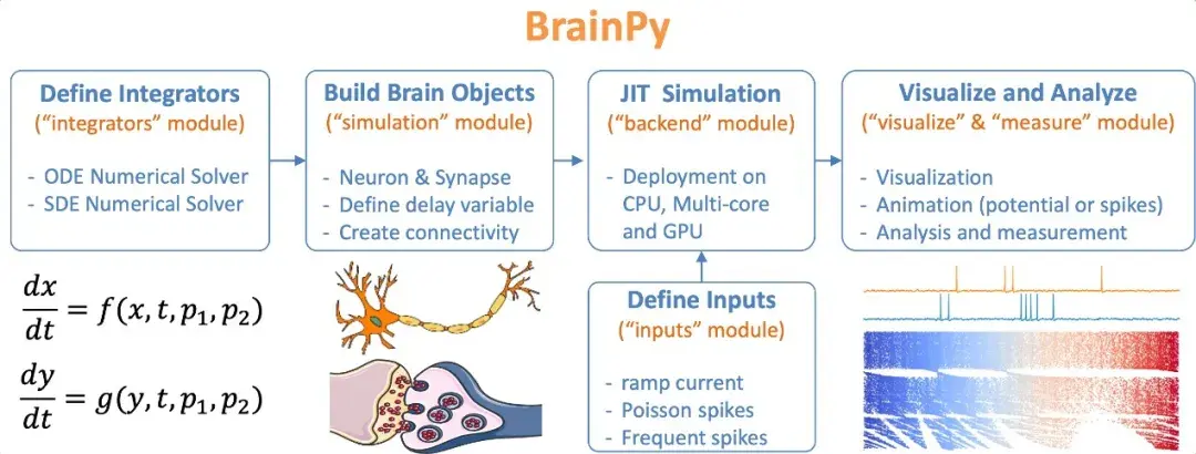 智源推出“生物智能开源开放平台”，支撑脑启发的通用智能研究 - 知乎