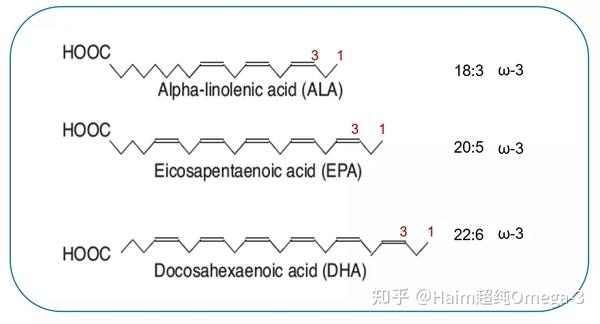 “顶流”调脂药物EPA乙酯的进阶之路 - 知乎