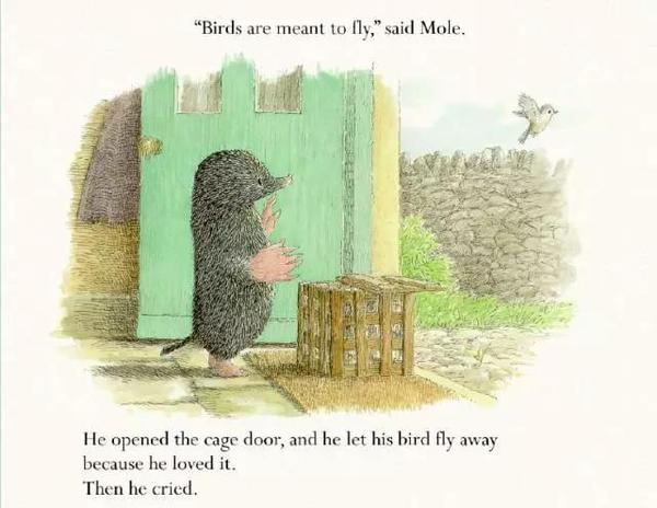 绘本故事 | Mole And The Baby Bird - 知乎