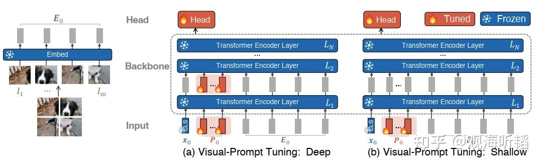 【论文精读】Visual Prompt Tuning - 知乎