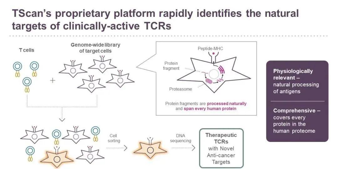 ‌TScan：一种全基因组、高通量的T细胞受体筛选技术 - 知乎