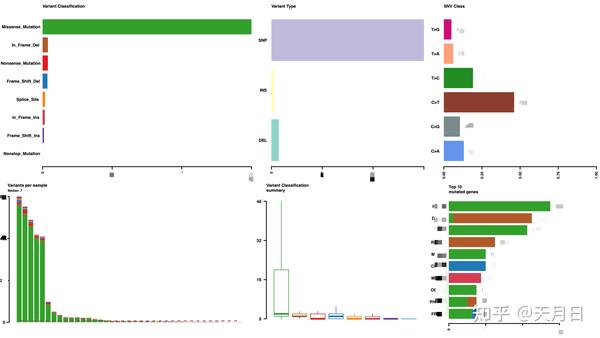 使用 python 调用 R 的 maftools 绘制突变及比较图 - 知乎