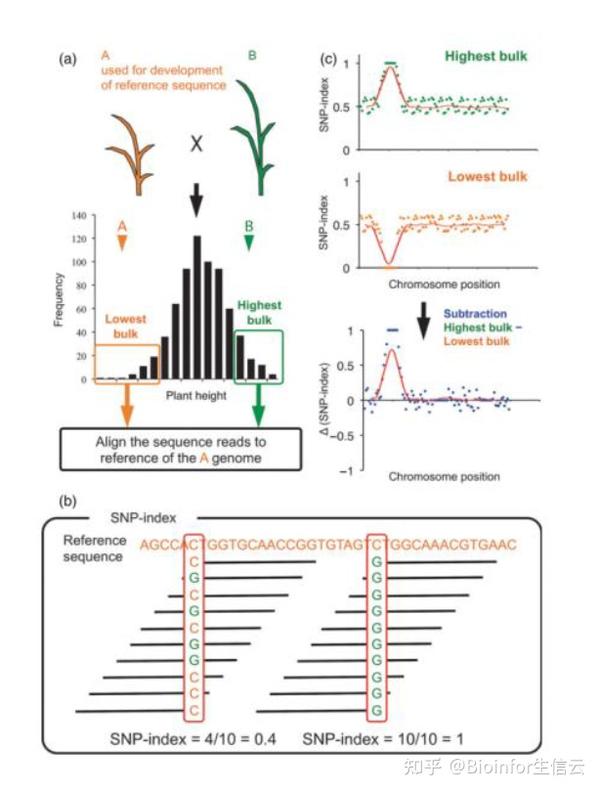 BSA分析（一）背景介绍 - 知乎