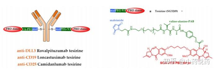 开发中的新策略：第三代ADC - 知乎