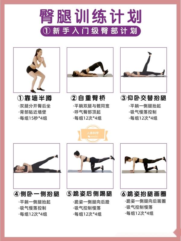 【练臀计划】初级到高级臀部训练讲解图示 知乎