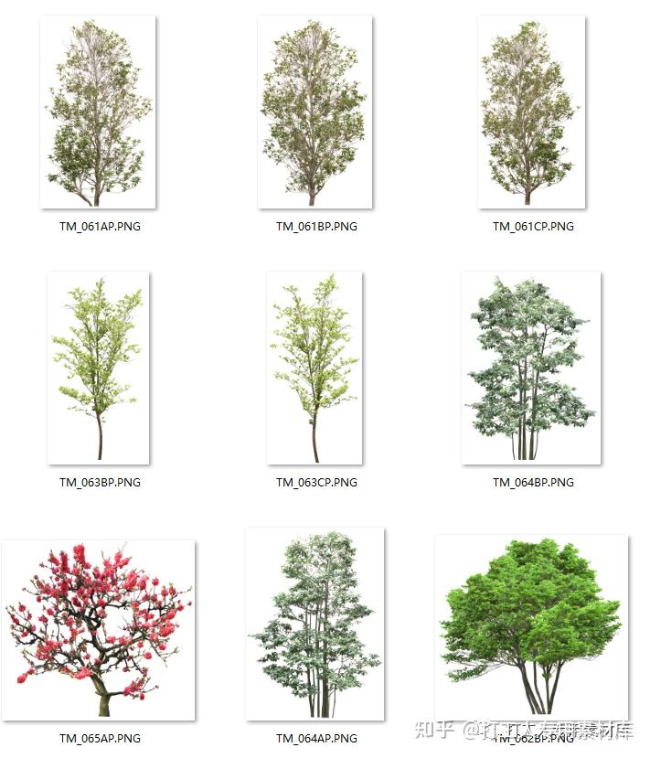 270款超棒的网红小清新手绘风and写实风立面树素材（1.2G） - 知乎
